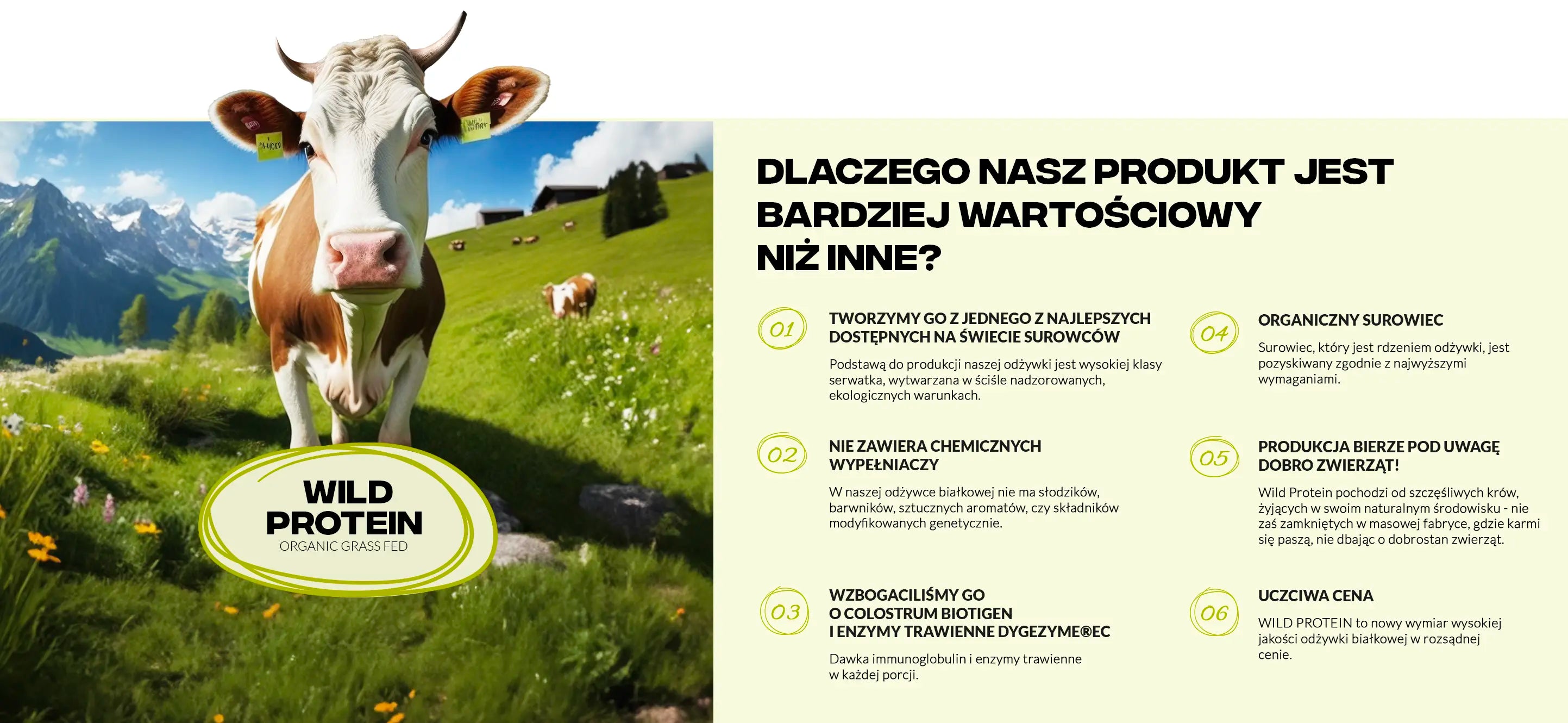 Wild Protein – Balance